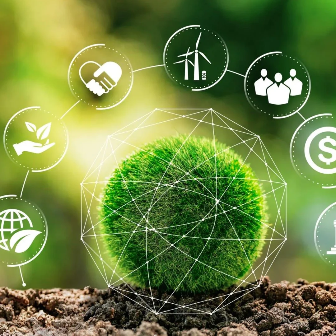 Understanding EIA (Environmental Impact Assessment) in Qatar: A Vital Tool for Sustainable ...